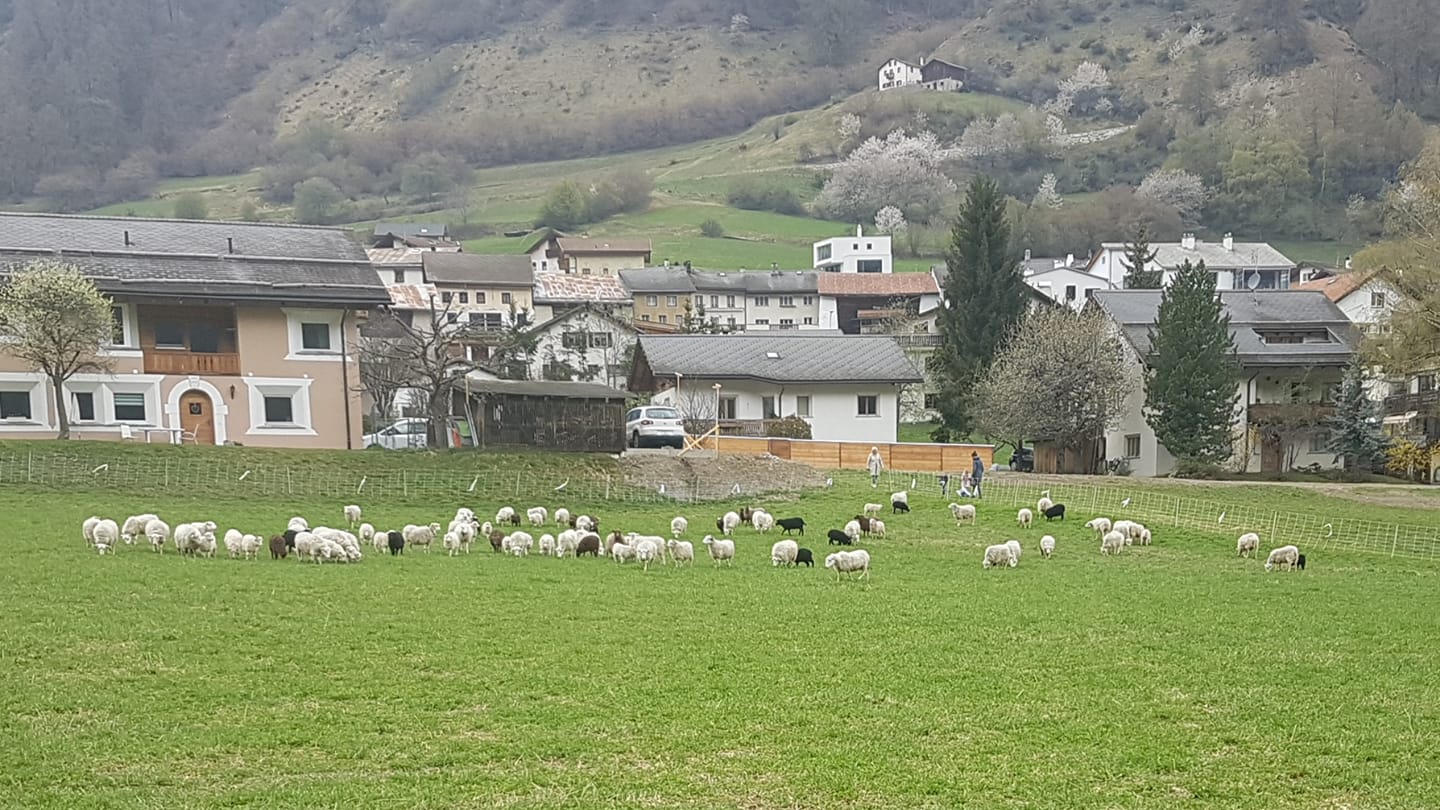 Bain Agricul | ProSpecieRara